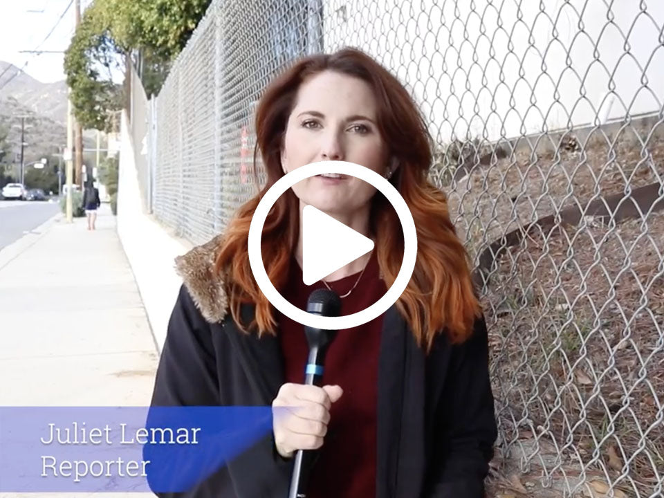 Mural Honoring the Life of Molly Steinsapir Coming to the Palisades ...