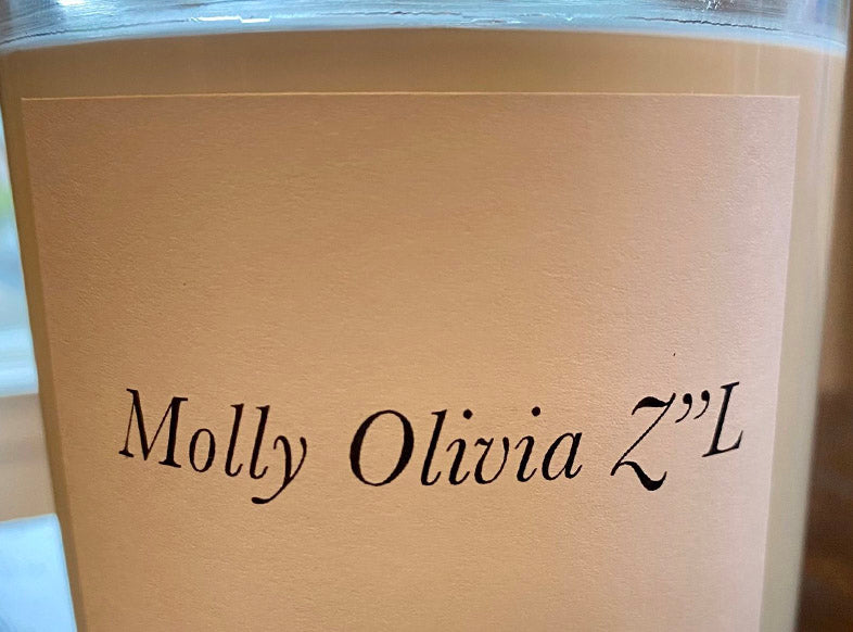 Dreams of Molly – The Molly Steinsapir Foundation